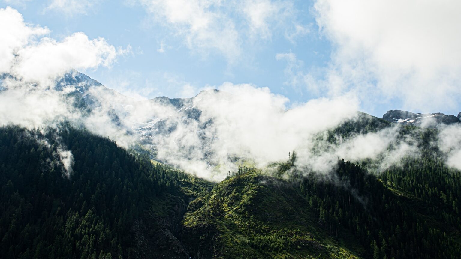 What Is the Difference Between PCBA and PCB? – Rigid Flex PCB